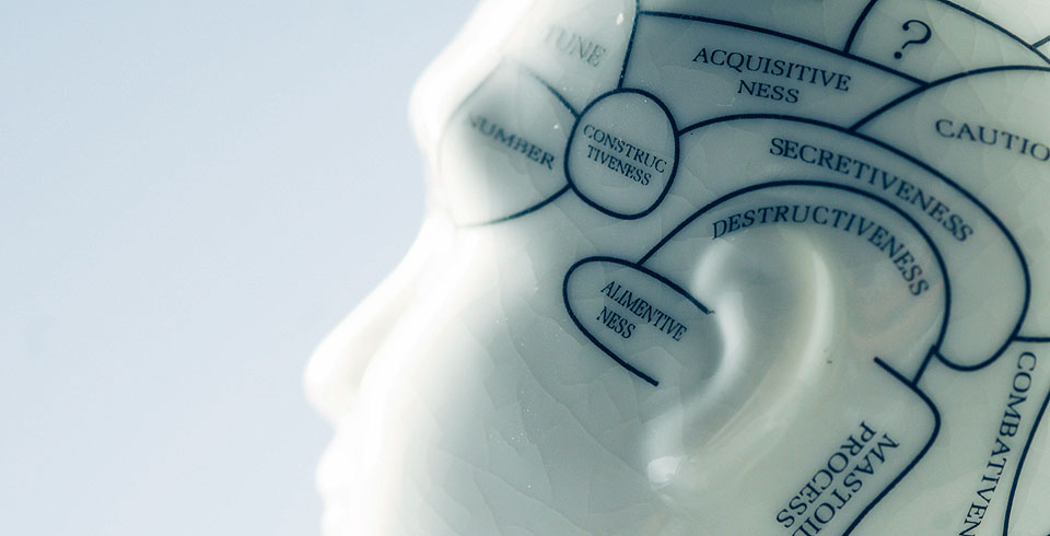 What is the Difference Between Neuropsychology and Neuroscience?